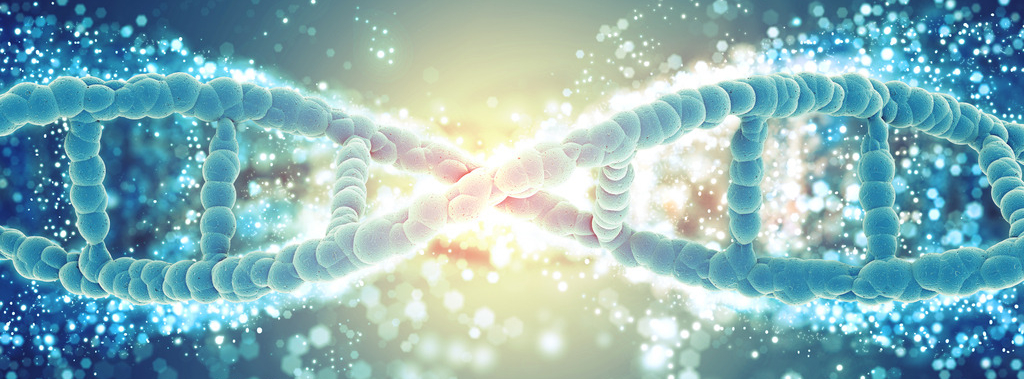 New reagent for detection of Human Epididymis Protein 4 (HE4)-Beijing ...